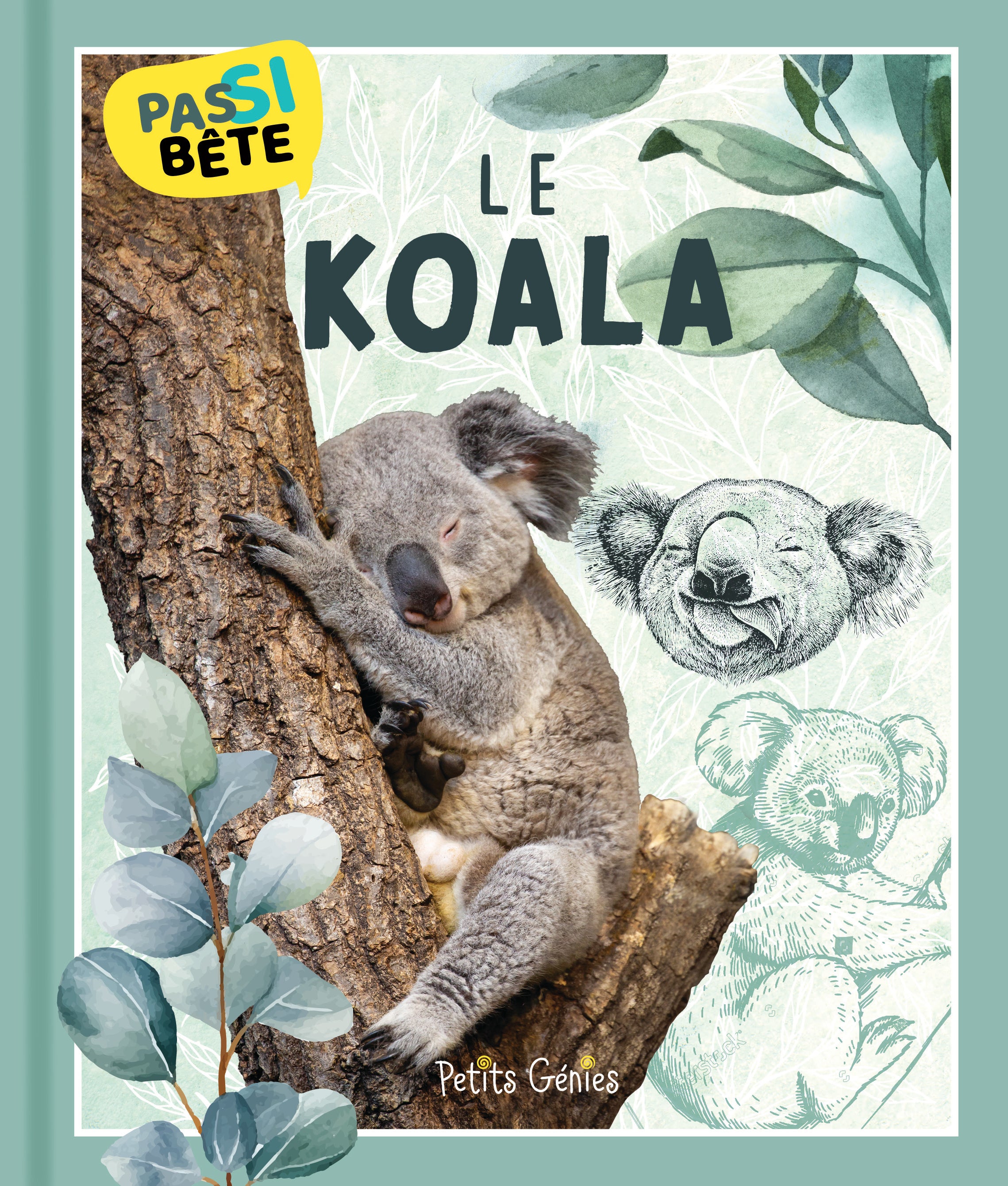 Pas si bête : Le koala – Éditions Petits Génies