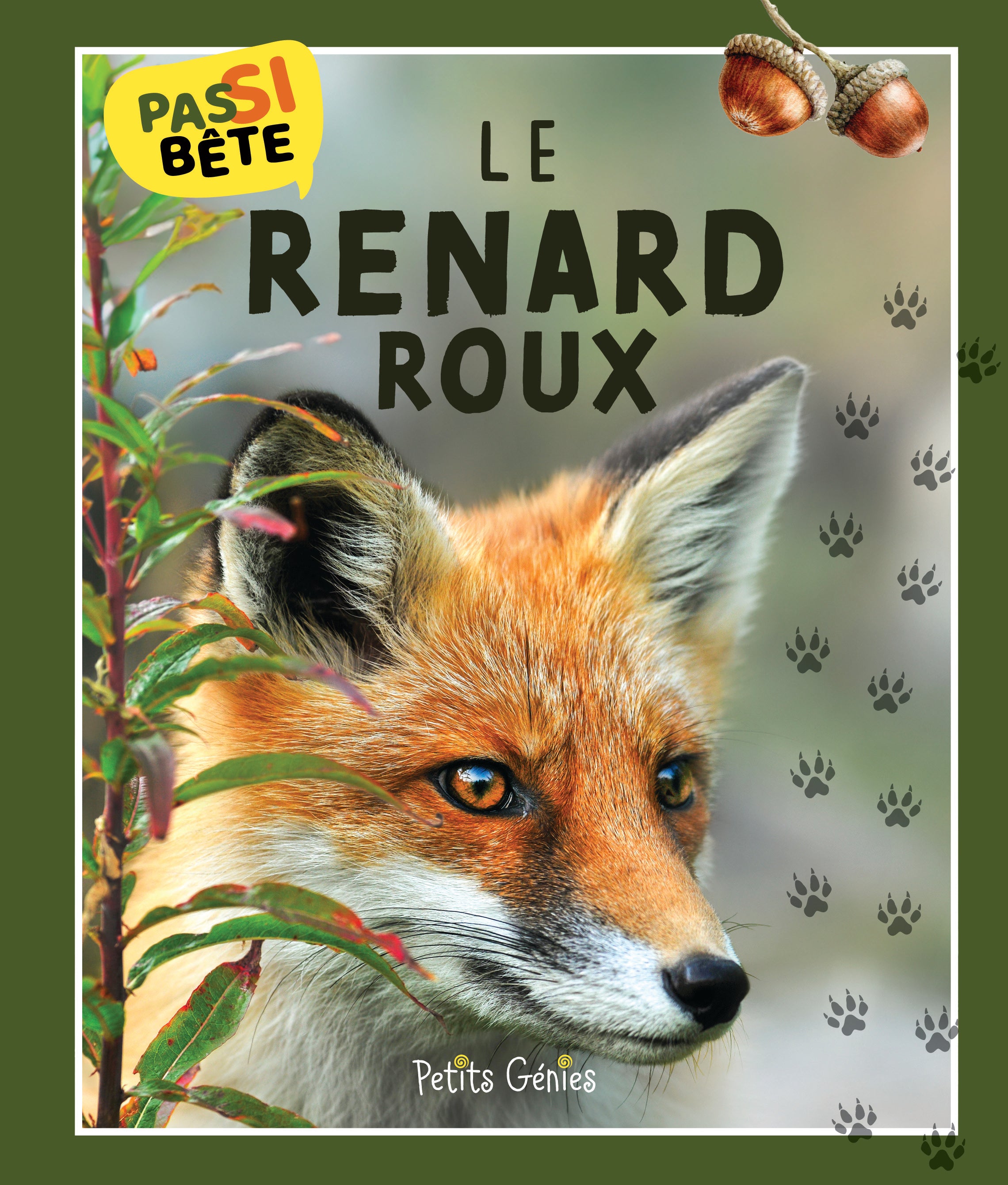 Pas si bête : Le renard roux – Éditions Petits Génies