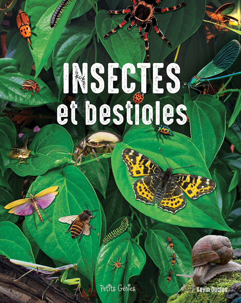 Insectes et bestioles – Éditions Petits Génies