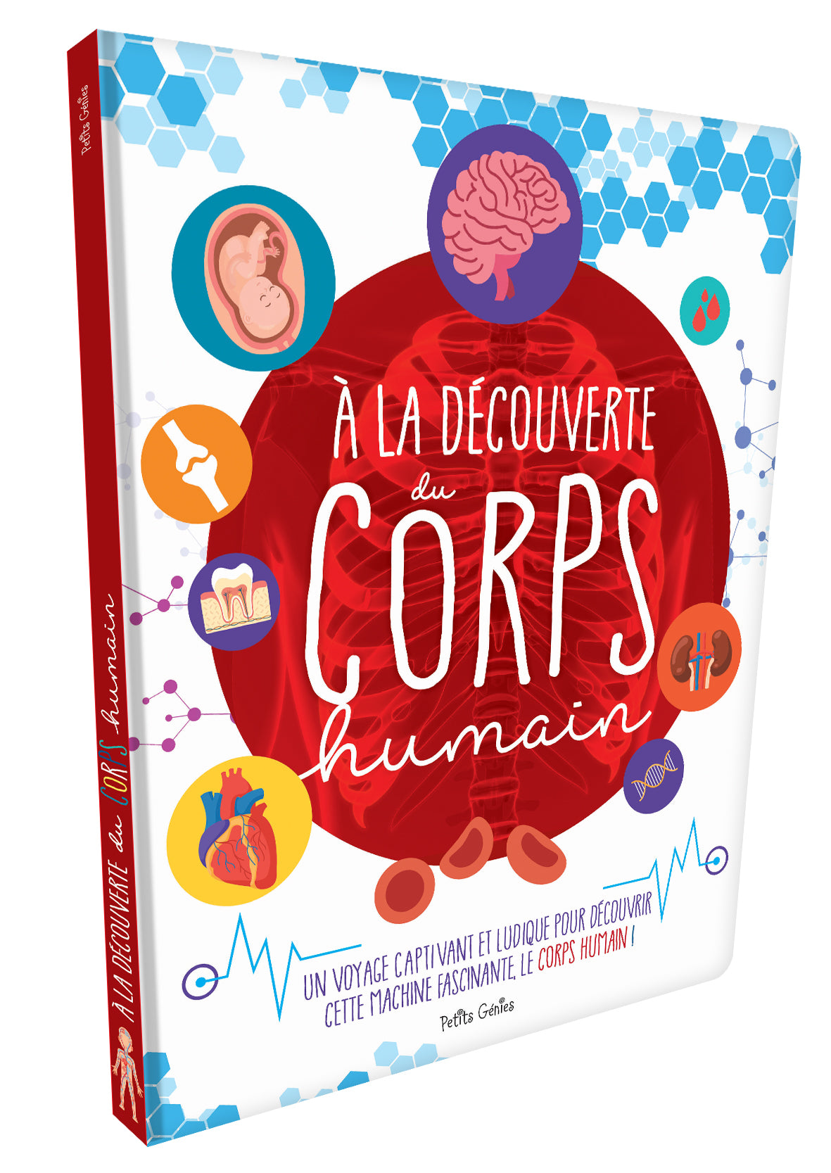 À la découverte du corps humain – Éditions Petits Génies