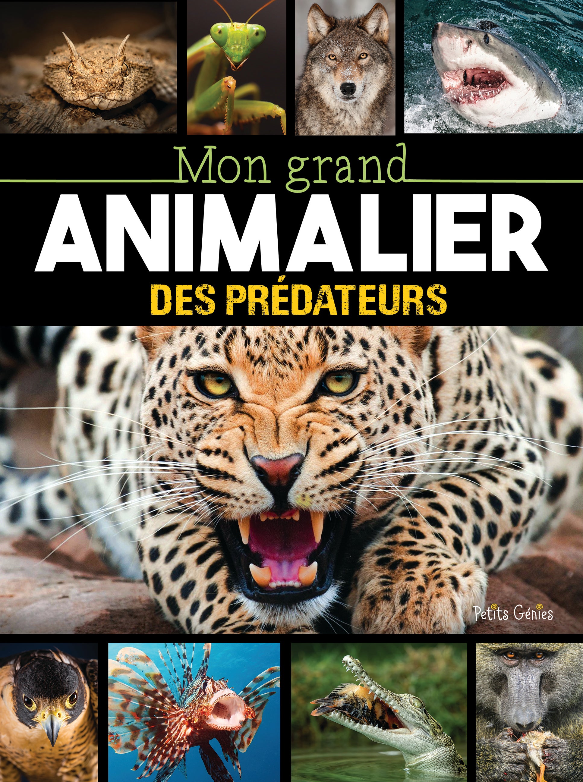 Mon grand animalier des prédateurs – Éditions Petits Génies