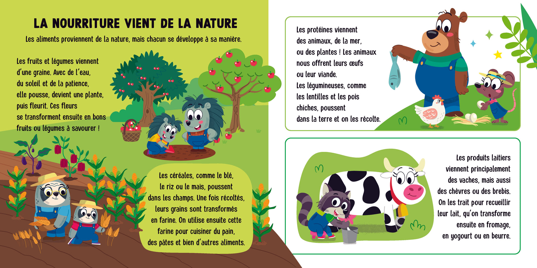 Un pas à la fois : La nourriture – Éditions Petits Génies