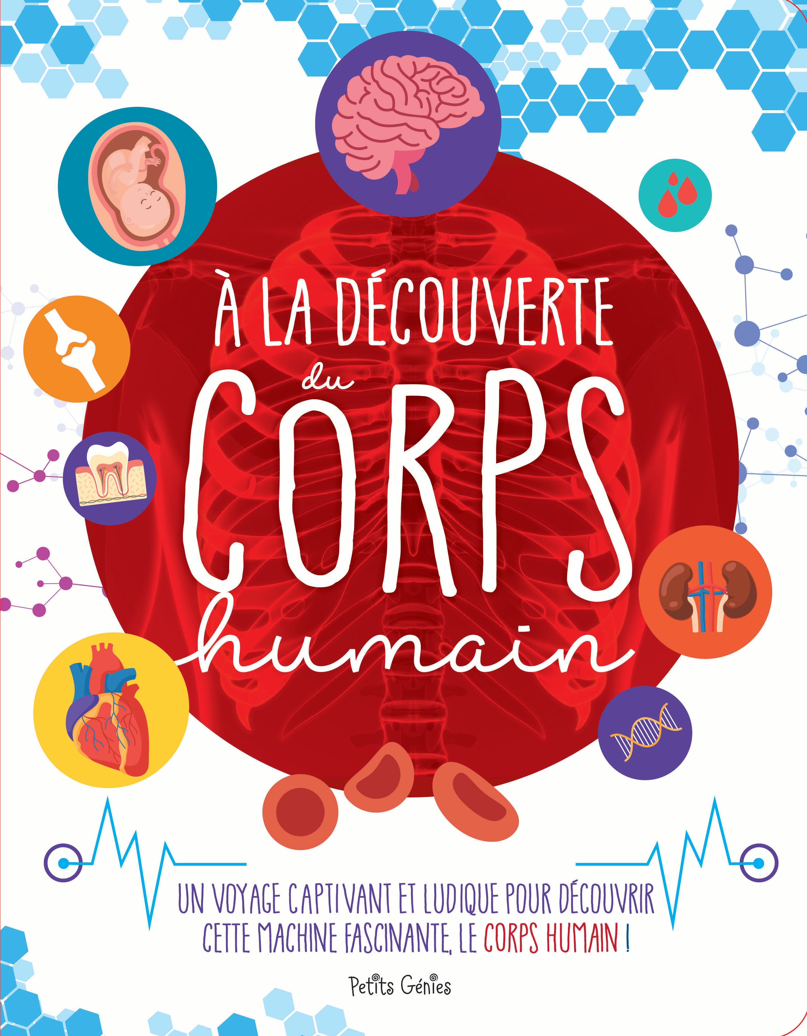 À la découverte du corps humain – Éditions Petits Génies
